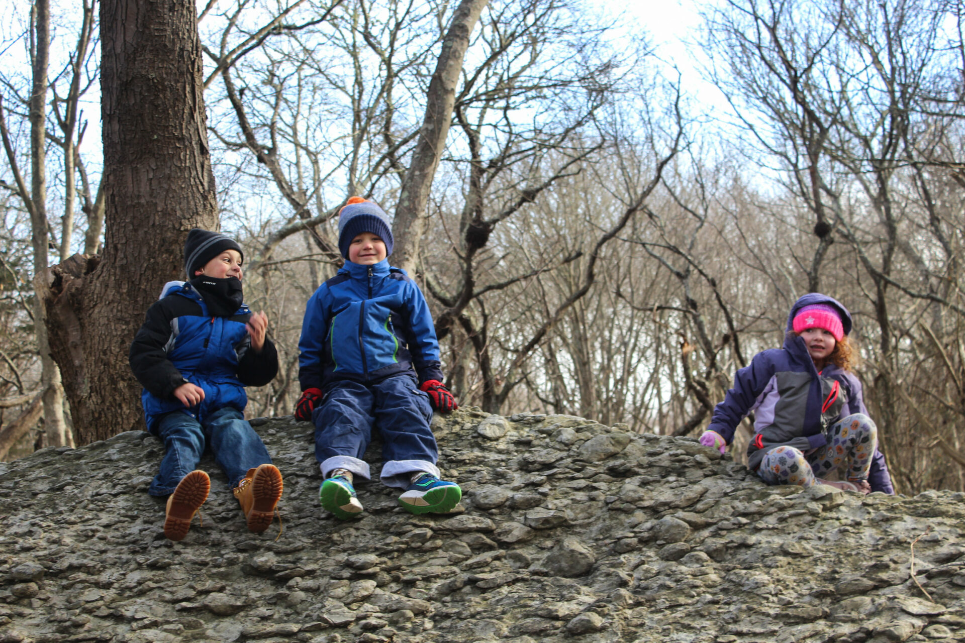Camps - Norman Bird Sanctuary