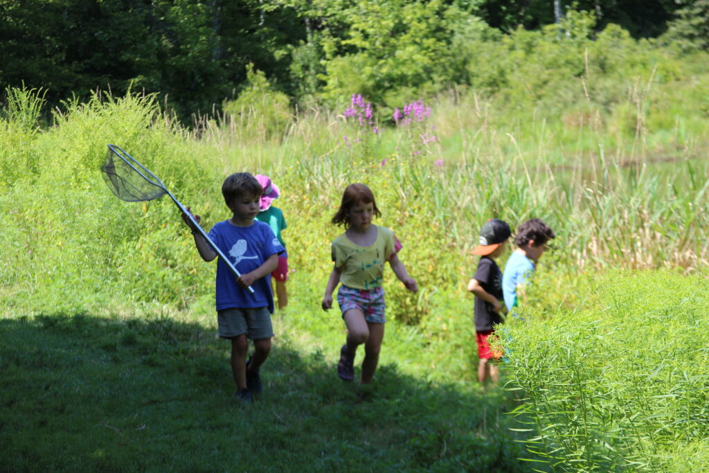 Camps - Norman Bird Sanctuary