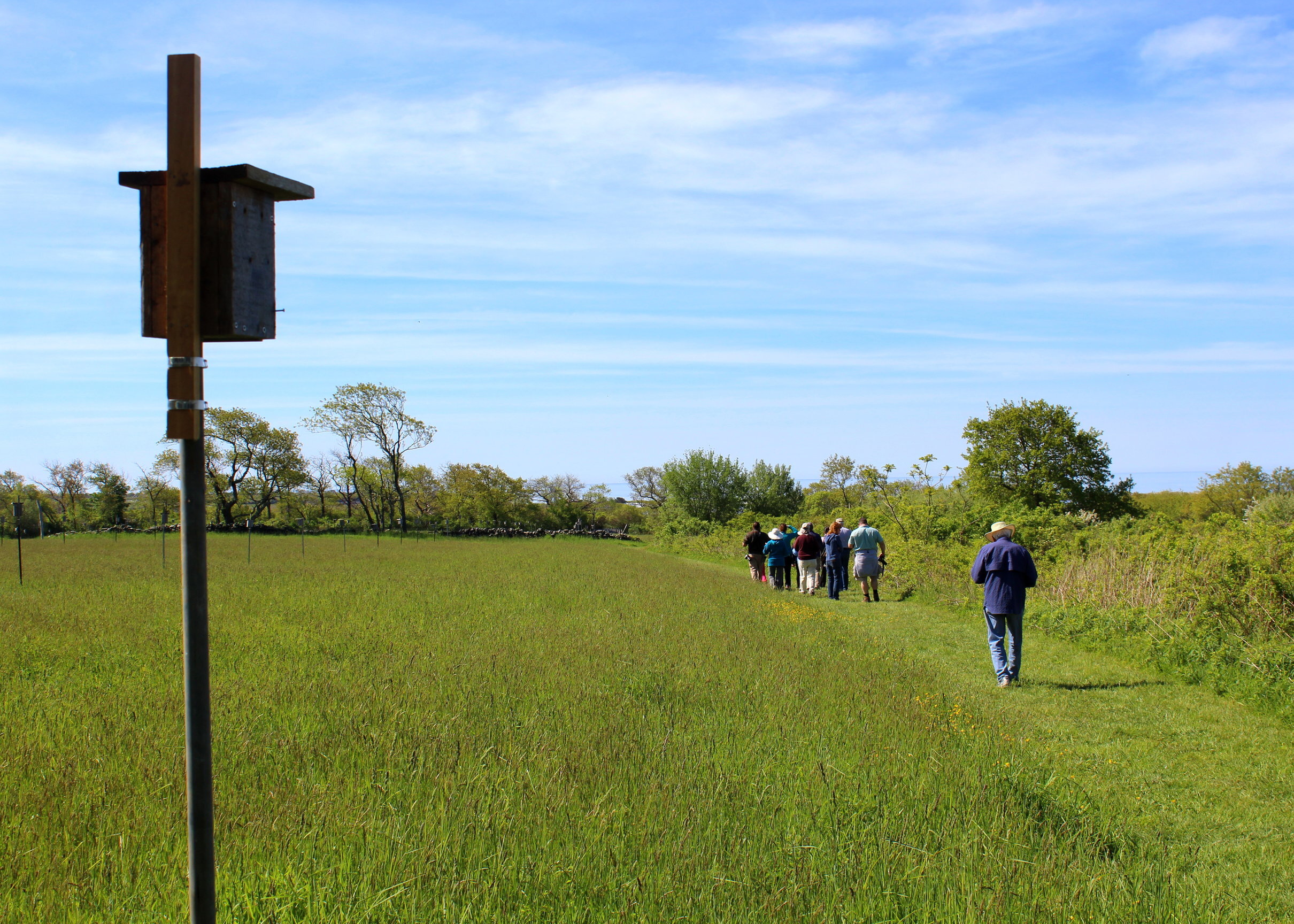 Free Wednesday Nature Walks - Norman Bird Sanctuary