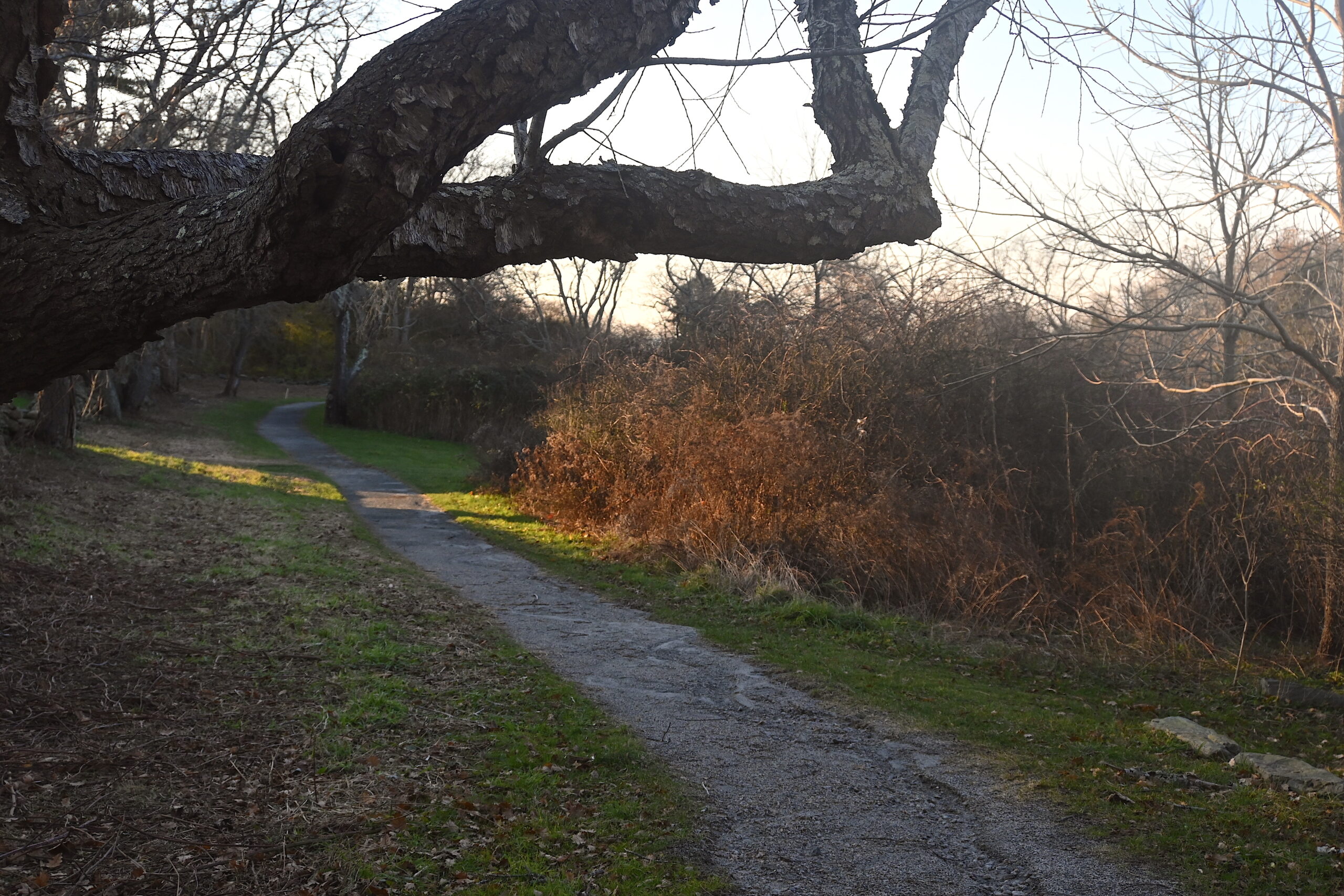Free Wednesday Nature Walk - Norman Bird Sanctuary