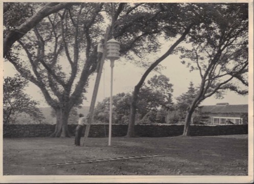 A Peek Inside Mabel's Book Collection - Norman Bird Sanctuary