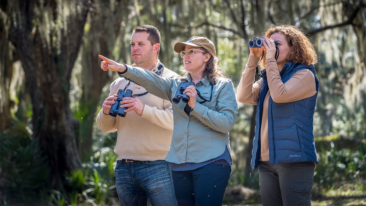 Bonus Sunday Morning Bird Walk with ZEISS Ambassador - Norman Bird ...